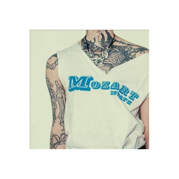 【発売日：2025年10月08日】ご注文後のキャンセル・返品は承れません。発売日:2025年10月08日/商品ID:6942345/ジャンル:ROCK/POP/フォーマット:LP/構成数:1/レーベル:West Midlands/アーティス...