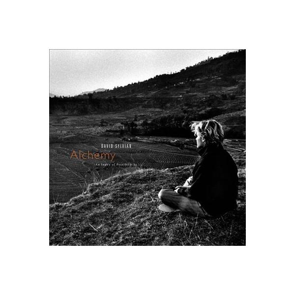 【発売日：2025年12月24日】ご注文後のキャンセル・返品は承れません。発売日:2025年12月24日/商品ID:6943406/ジャンル:ROCK/POP/フォーマット:LP/構成数:1/レーベル:Integral/アーティスト:Dav...