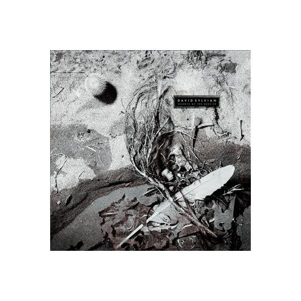 【発売日：2025年12月24日】ご注文後のキャンセル・返品は承れません。発売日:2025年12月24日/商品ID:6943408/ジャンル:ROCK/POP/フォーマット:LP/構成数:1/レーベル:Integral/アーティスト:Dav...