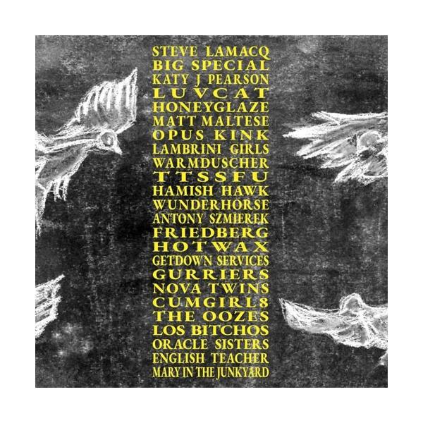 【発売日：2025年09月23日】ご注文後のキャンセル・返品は承れません。発売日:2025年09月23日/商品ID:6945156/ジャンル:ROCK/POP/フォーマット:CD/構成数:2/レーベル:So Hideous/タイトル:A H...