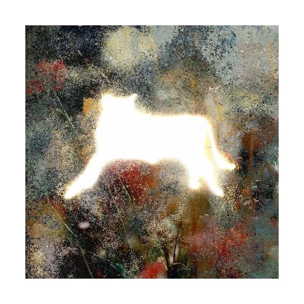 【発売日：2025年10月24日】ご注文後のキャンセル・返品は承れません。発売日:2025年10月24日/商品ID:6945170/ジャンル:ROCK/POP/フォーマット:CD/構成数:1/レーベル:Julia's War Recordi...