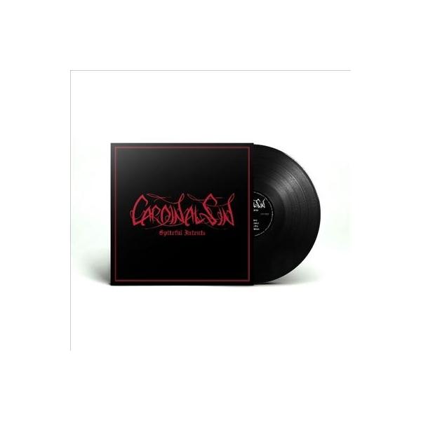 【発売日：2025年09月05日】ご注文後のキャンセル・返品は承れません。発売日:2025年09月05日/商品ID:6947416/ジャンル:ROCK/POP/フォーマット:LP/構成数:1/レーベル:Regain - Helter Ske...