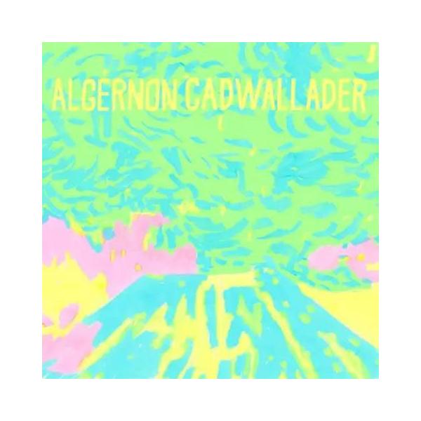 【発売日：2025年10月17日】ご注文後のキャンセル・返品は承れません。発売日:2025年10月17日/商品ID:6951206/ジャンル:ROCK/POP/フォーマット:CD/構成数:1/レーベル:DISKUNION PUNK/アーティ...