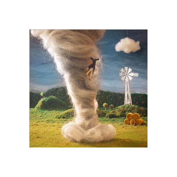 【発売日：2025年10月31日】ご注文後のキャンセル・返品は承れません。発売日:2025年10月31日/商品ID:6951586/ジャンル:ROCK/POP/フォーマット:LP/構成数:1/レーベル:Many Hats/アーティスト:Sy...