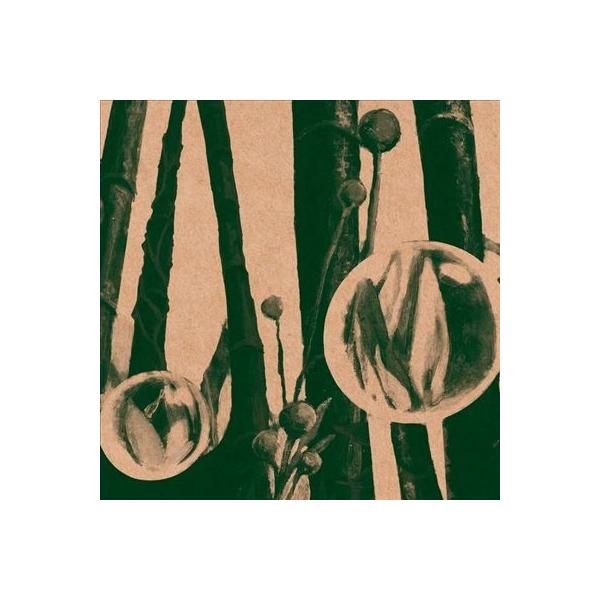 【発売日：2025年10月10日】ご注文後のキャンセル・返品は承れません。発売日:2025年10月10日/商品ID:6953572/ジャンル:JAZZ/フォーマット:LP/構成数:2/レーベル:Lapsus Records/アーティスト:K...