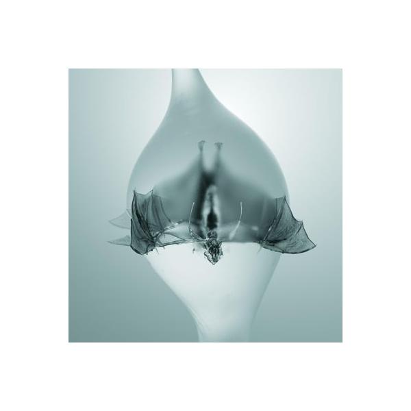 【発売日：2025年11月14日】ご注文後のキャンセル・返品は承れません。発売日:2025年11月14日/商品ID:6953887/ジャンル:ROCK/POP/フォーマット:CD/構成数:1/レーベル:Unprocessed/アーティスト:...