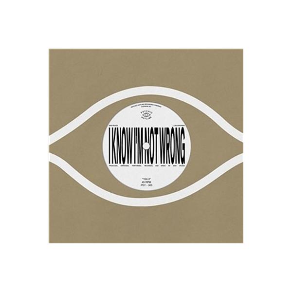 【発売日：2025年11月07日】ご注文後のキャンセル・返品は承れません。発売日:2025年11月07日/商品ID:6962174/ジャンル:JAZZ/フォーマット:7inch Single/構成数:1/レーベル:Psychic Hotli...