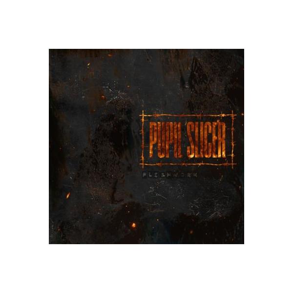 【発売日：2025年11月07日】ご注文後のキャンセル・返品は承れません。発売日:2025年11月07日/商品ID:6977172/ジャンル:ROCK/POP/フォーマット:CD/構成数:1/レーベル:Prosthetic Records/...