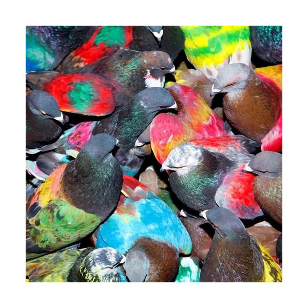 【発売日：2025年10月10日】ご注文後のキャンセル・返品は承れません。発売日:2025年10月10日/商品ID:6983304/ジャンル:SOUL/CLUB/RAP/フォーマット:CD/構成数:1/レーベル:XL Recordings/...