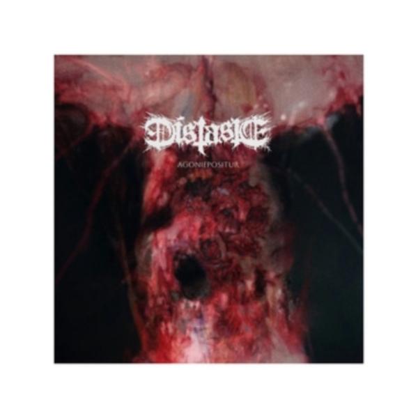 【発売日：2025年10月24日】ご注文後のキャンセル・返品は承れません。発売日:2025年10月24日/商品ID:6989244/ジャンル:ROCK/POP/フォーマット:CD/構成数:1/レーベル:Fda Records/アーティスト:...