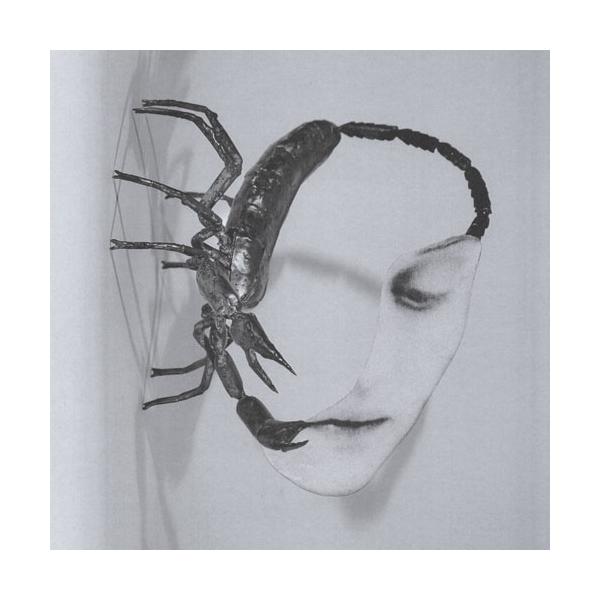 【発売日：2025年11月05日】ご注文後のキャンセル・返品は承れません。発売日:2025年11月05日/商品ID:7012682/ジャンル:ROCK/POP/フォーマット:CD/構成数:2/レーベル:rings/アーティスト:Tortoi...