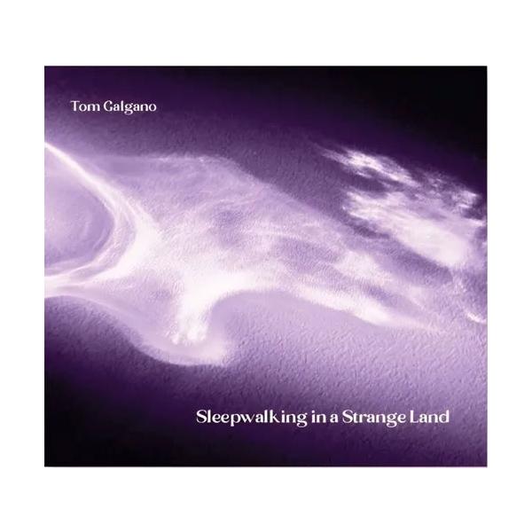 【発売日：2025年10月16日】ご注文後のキャンセル・返品は承れません。発売日:2025年10月16日/商品ID:7018108/ジャンル:ROCK/POP/フォーマット:CD/構成数:1/レーベル:Doone Records/アーティス...