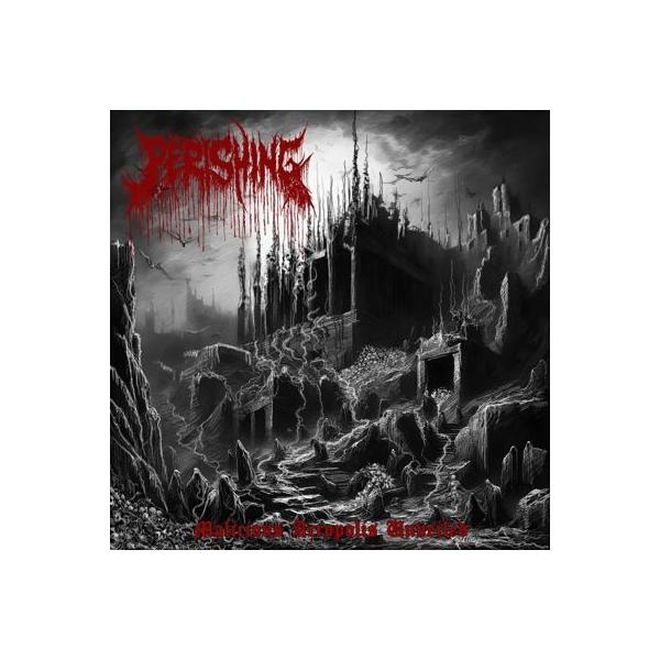 【発売日：2025年10月17日】ご注文後のキャンセル・返品は承れません。発売日:2025年10月17日/商品ID:7023502/ジャンル:ROCK/POP/フォーマット:CD/構成数:1/レーベル:Transcending Obscur...