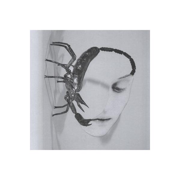 【発売日：2025年10月24日】ご注文後のキャンセル・返品は承れません。発売日:2025年10月24日/商品ID:7077555/ジャンル:ROCK/POP/フォーマット:LP/構成数:1/レーベル:Nonesuch/アーティスト:Tor...