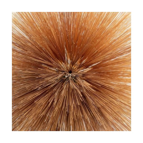 【発売日：2025年10月24日】ご注文後のキャンセル・返品は承れません。発売日:2025年10月24日/商品ID:7087968/ジャンル:JAZZ/フォーマット:CD/構成数:1/レーベル:Pyroclastic Records/アーテ...