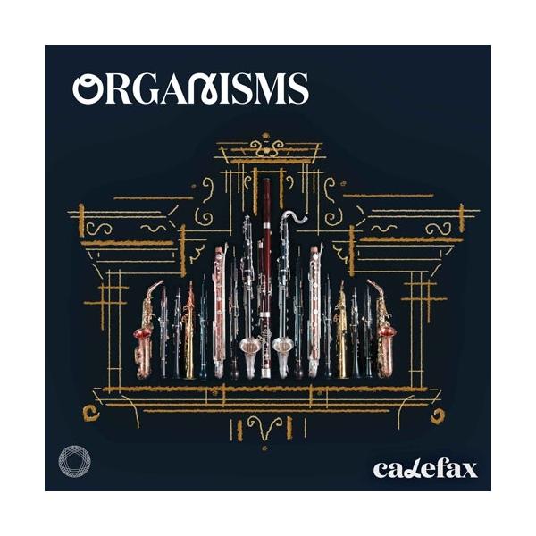 【発売日：2025年12月09日】ご注文後のキャンセル・返品は承れません。発売日:2025年12月09日/商品ID:7088226/ジャンル:CLASSICAL/フォーマット:CD/構成数:1/レーベル:PentaTone Classics...