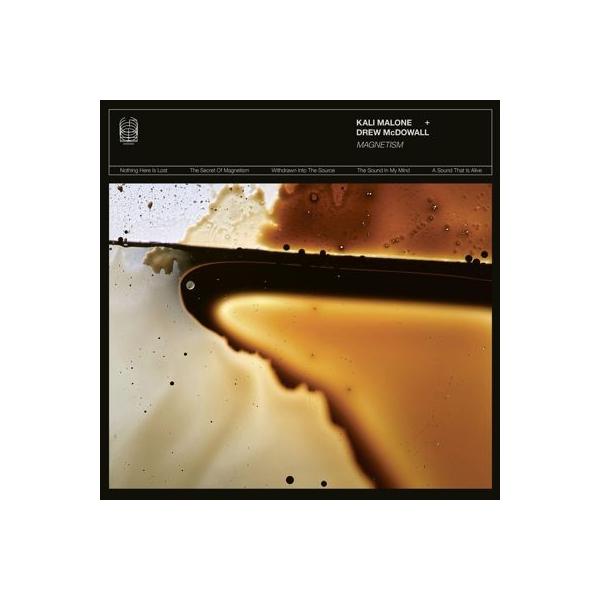 【発売日：2025年11月08日】ご注文後のキャンセル・返品は承れません。発売日:2025年11月08日/商品ID:7098904/ジャンル:ROCK/POP/フォーマット:LP/構成数:1/レーベル:Ideologic Organ/アーテ...