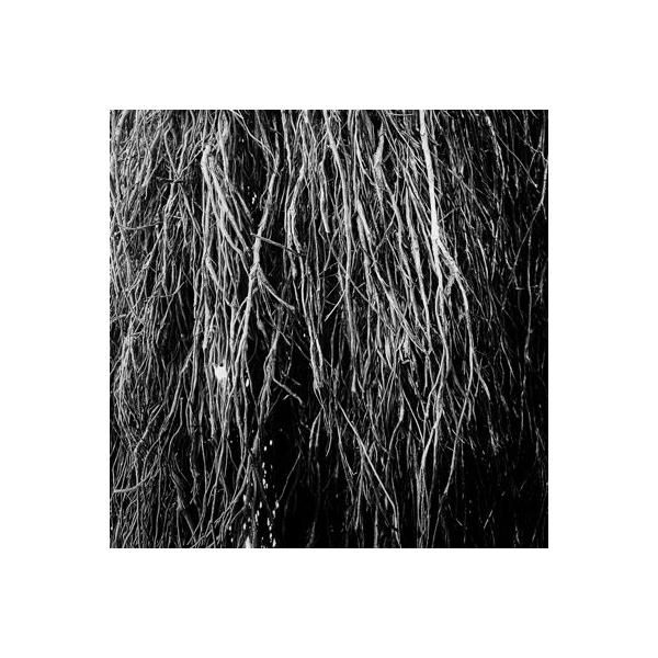 【発売日：2025年10月31日】ご注文後のキャンセル・返品は承れません。発売日:2025年10月31日/商品ID:7154907/ジャンル:JAZZ/フォーマット:LP/構成数:1/レーベル:Pan/アーティスト:Eraldo Berno...