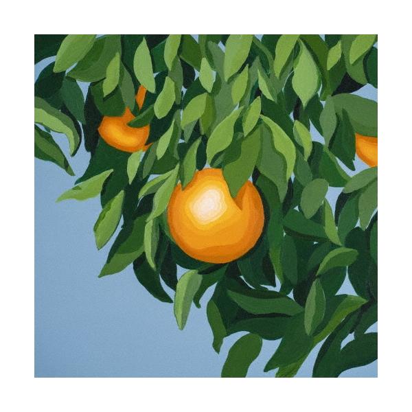 【発売日：2026年01月30日】ご注文後のキャンセル・返品は承れません。発売日:2026年01月30日/商品ID:7179983/ジャンル:ROCK/POP/フォーマット:CD/構成数:1/レーベル:Rough Trade Records...