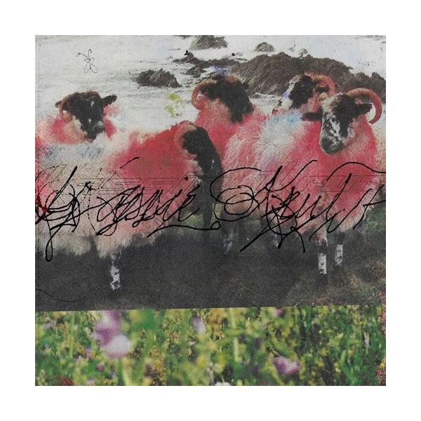 【発売日：2025年11月28日】ご注文後のキャンセル・返品は承れません。発売日:2025年11月28日/商品ID:7259058/ジャンル:ROCK/POP/フォーマット:LP/構成数:1/レーベル:Fire Talk Records/ア...