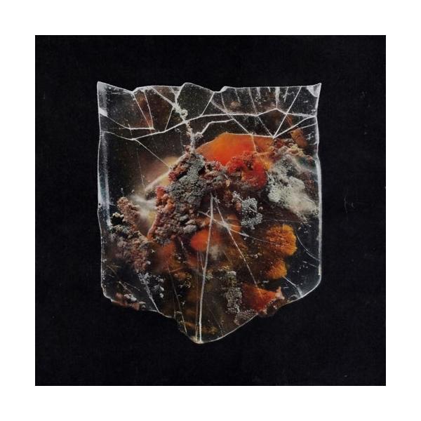 【発売日：2026年01月30日】ご注文後のキャンセル・返品は承れません。発売日:2026年01月30日/商品ID:7310539/ジャンル:ROCK/POP/フォーマット:LP/構成数:1/レーベル:Long Branch Records...