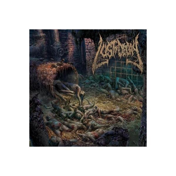 【発売日：2025年12月12日】ご注文後のキャンセル・返品は承れません。発売日:2025年12月12日/商品ID:7310782/ジャンル:ROCK/POP/フォーマット:CD/構成数:1/レーベル:Comatose Music/アーティ...