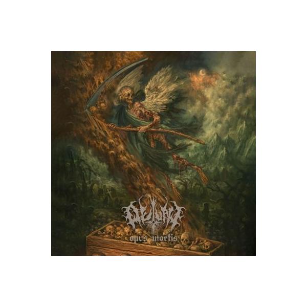 【発売日：2025年12月12日】ご注文後のキャンセル・返品は承れません。発売日:2025年12月12日/商品ID:7328974/ジャンル:ROCK/POP/フォーマット:LP/構成数:1/レーベル:Aop Records/アーティスト:...