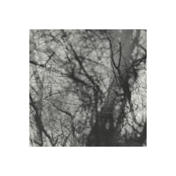 【発売日：2025年11月21日】ご注文後のキャンセル・返品は承れません。発売日:2025年11月下旬/商品ID:7329291/ジャンル:JAZZ/フォーマット:CD/構成数:1/レーベル:Kranky/アーティスト:Grouper/タイ...