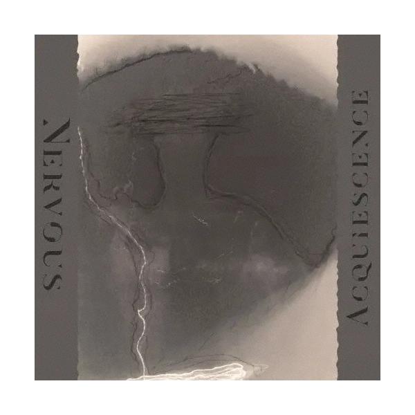 【発売日：2025年11月28日】ご注文後のキャンセル・返品は承れません。発売日:2025年11月28日/商品ID:7455849/ジャンル:ROCK/POP/フォーマット:CD/構成数:1/レーベル:Wormholedeath Japan...