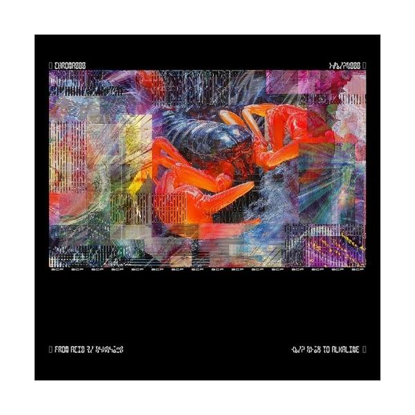 【発売日：2026年02月13日】ご注文後のキャンセル・返品は承れません。発売日:2026年02月13日/商品ID:7554601/ジャンル:SOUL/CLUB/RAP/フォーマット:12inch Single/構成数:2/レーベル:Chr...