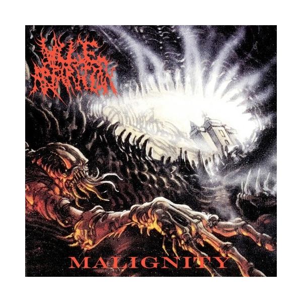 【発売日：2025年11月28日】ご注文後のキャンセル・返品は承れません。発売日:2025年11月28日/商品ID:7591673/ジャンル:ROCK/POP/フォーマット:CD/構成数:1/レーベル:Dark Descent Record...