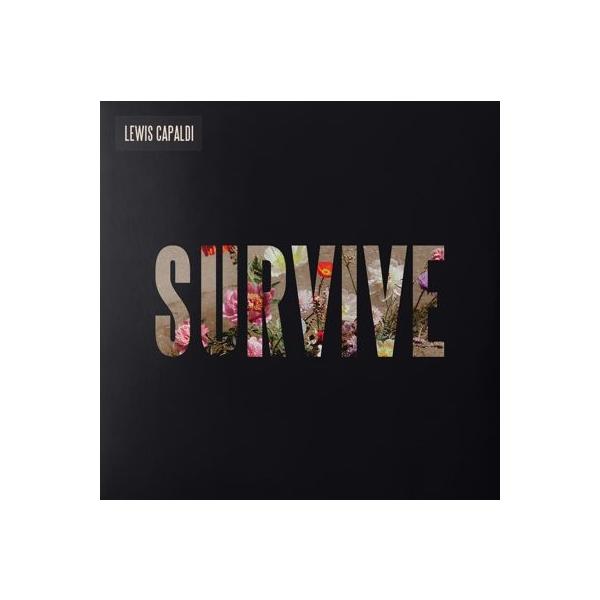 【発売日：2025年11月14日】ご注文後のキャンセル・返品は承れません。発売日:2025年11月14日/商品ID:7609400/ジャンル:ROCK/POP/フォーマット:CD/構成数:1/レーベル:Capitol/アーティスト:Lewi...