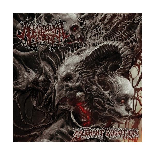 【発売日：2026年01月16日】ご注文後のキャンセル・返品は承れません。発売日:2026年01月16日/商品ID:7743934/ジャンル:ROCK/POP/フォーマット:CD/構成数:1/レーベル:Comatose Music/アーティ...