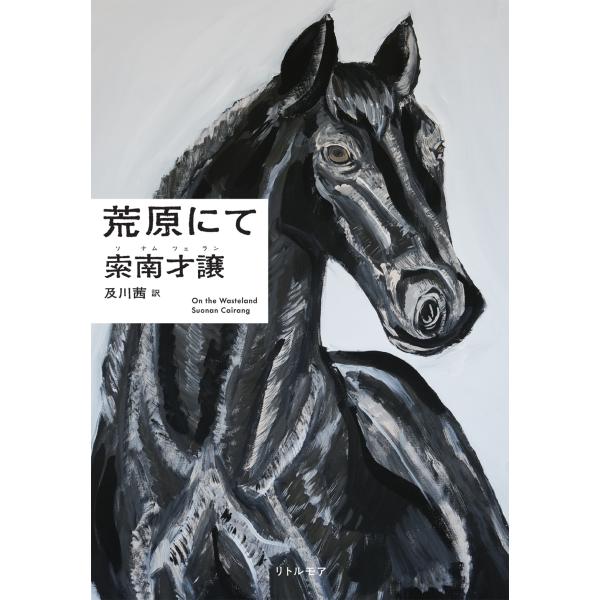 【発売日：2025年11月26日】ご注文後のキャンセル・返品は承れません。発売日:2025年11月26日/商品ID:7744334/ジャンル:DOMESTIC BOOKS/フォーマット:Book/構成数:1/レーベル:リトルモア/アーティス...