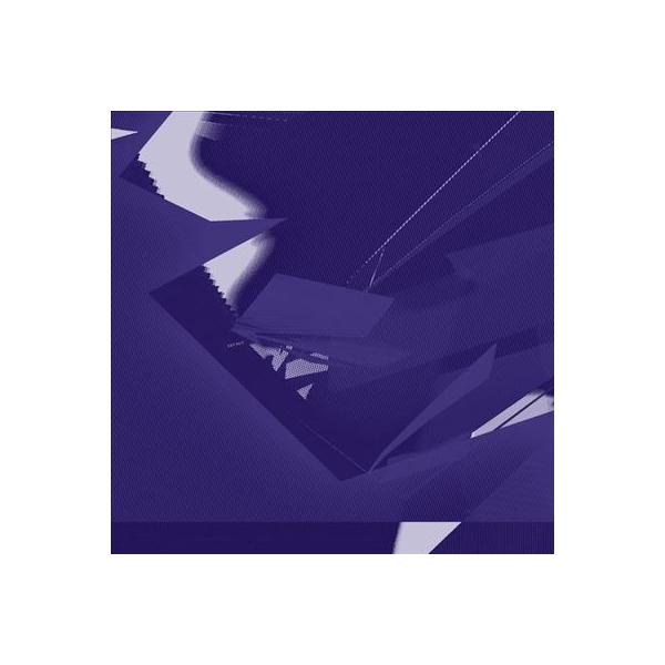 【発売日：2026年01月09日】ご注文後のキャンセル・返品は承れません。発売日:2026年01月09日/商品ID:7744575/ジャンル:JAZZ/フォーマット:LP/構成数:2/レーベル:Editions Mego/アーティスト:Pi...