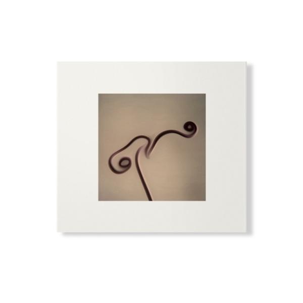 【発売日：2025年08月29日】ご注文後のキャンセル・返品は承れません。発売日:2025年08月29日/商品ID:7762304/ジャンル:J-POP/フォーマット:CD/構成数:1/レーベル:Lo Recordings/アーティスト:S...