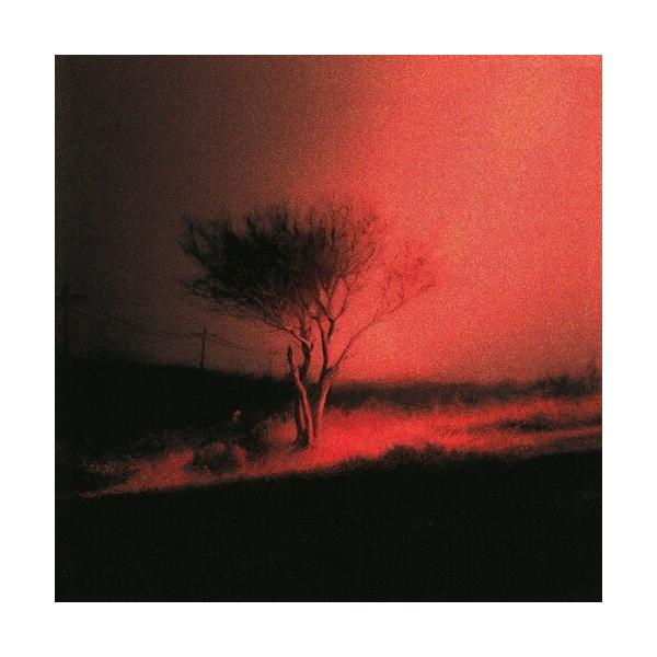 【発売日：2026年02月06日】ご注文後のキャンセル・返品は承れません。発売日:2026年02月06日/商品ID:7798019/ジャンル:SOUL/CLUB/RAP/フォーマット:LP/構成数:1/レーベル:Palace Creek/ア...