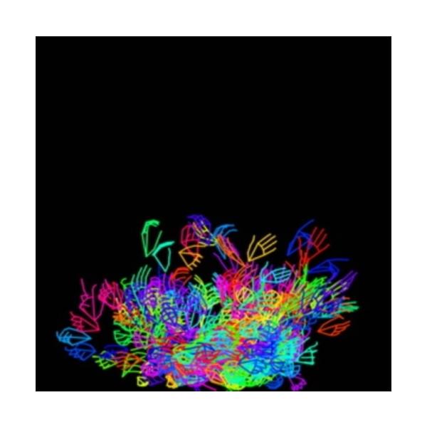 【発売日：2026年01月09日】ご注文後のキャンセル・返品は承れません。発売日:2026年01月09日/商品ID:7798124/ジャンル:JAZZ/フォーマット:LP/構成数:1/レーベル:Kit Records/アーティスト:Robe...