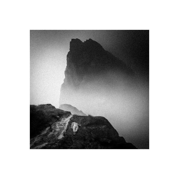 【発売日：2026年01月09日】ご注文後のキャンセル・返品は承れません。発売日:2026年01月09日/商品ID:7928999/ジャンル:ROCK/POP/フォーマット:CD/構成数:1/レーベル:Gilead Media/アーティスト...