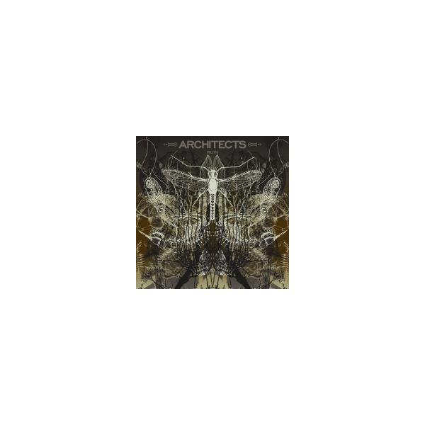 【発売日：2026年02月06日】ご注文後のキャンセル・返品は承れません。発売日:2026年02月06日/商品ID:7929998/ジャンル:ROCK/POP/フォーマット:LP/構成数:1/レーベル:Arising Empire/アーティ...