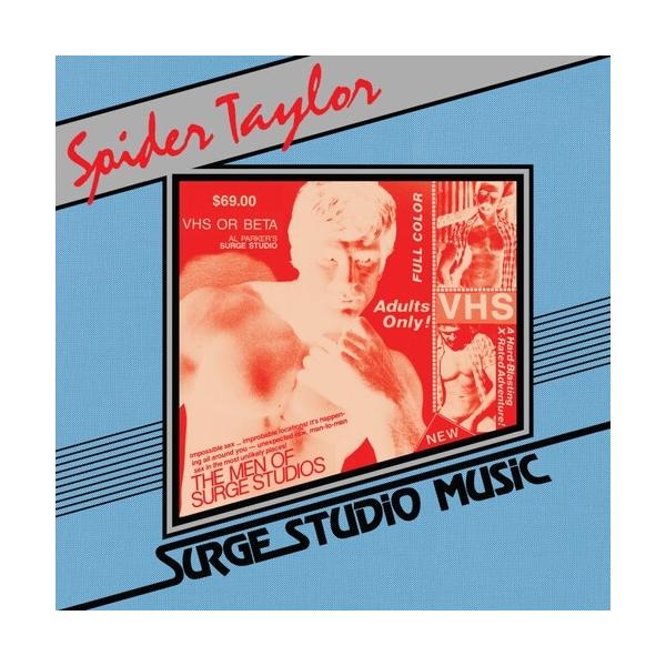 【発売日：2026年01月30日】ご注文後のキャンセル・返品は承れません。発売日:2026年01月上旬/商品ID:7934202/ジャンル:ROCK/POP/フォーマット:CD/構成数:1/レーベル:Dark Entries/アーティスト:...