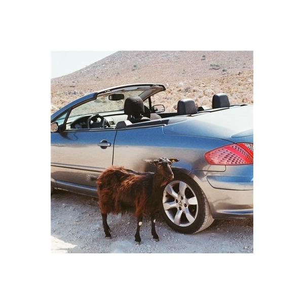 【発売日：2026年02月27日】ご注文後のキャンセル・返品は承れません。発売日:2026年02月27日/商品ID:7941204/ジャンル:ROCK/POP/フォーマット:LP/構成数:1/レーベル:Dfa/アーティスト:Exek/アーテ...