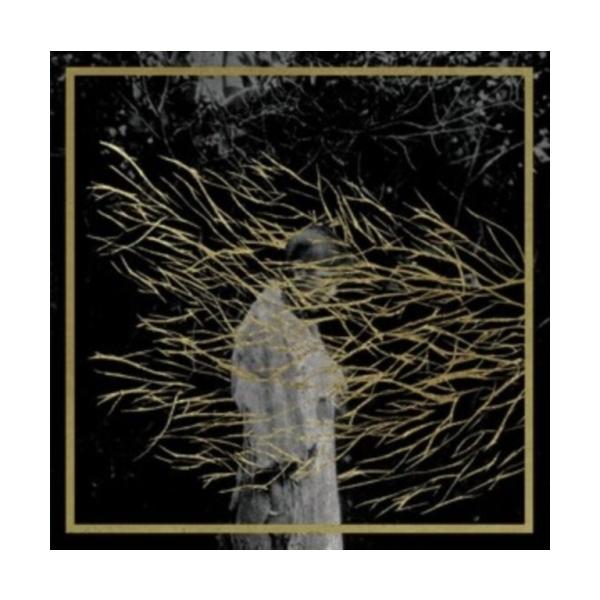 【発売日：2025年12月19日】ご注文後のキャンセル・返品は承れません。発売日:2025年12月19日/商品ID:7944110/ジャンル:SOUL/CLUB/RAP/フォーマット:CD/構成数:1/レーベル:Dense Truth/アー...