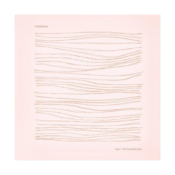 【発売日：2026年02月13日】ご注文後のキャンセル・返品は承れません。発売日:2026年02月13日/商品ID:7947743/ジャンル:SOUL/CLUB/RAP/フォーマット:LP/構成数:1/レーベル:flau/アーティスト:au...