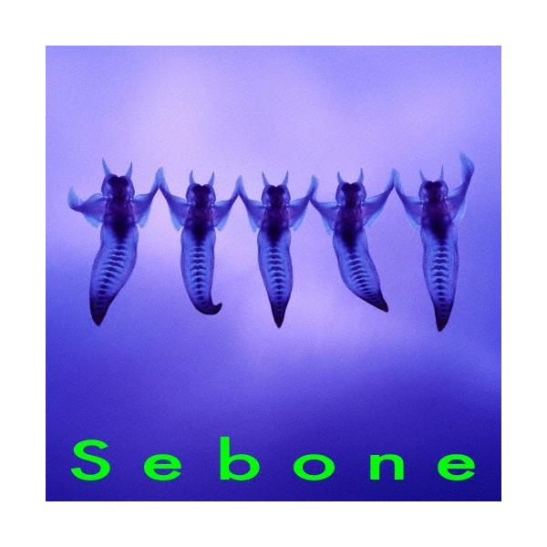 【発売日：2026年03月25日】ご注文後のキャンセル・返品は承れません。発売日:2026年03月25日/商品ID:7951204/ジャンル:J-POP/フォーマット:CD/構成数:1/レーベル:ポニーキャニオン/アーティスト:とた/アーテ...