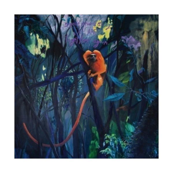 【発売日：2026年03月06日】ご注文後のキャンセル・返品は承れません。発売日:2026年03月06日/商品ID:7953153/ジャンル:ROCK/POP/フォーマット:LP/構成数:1/レーベル:No Quarter/アーティスト:B...