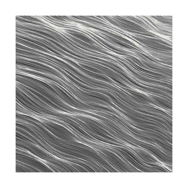 【発売日：2026年02月27日】ご注文後のキャンセル・返品は承れません。発売日:2026年02月27日/商品ID:7954946/ジャンル:ROCK/POP/フォーマット:CD/構成数:1/レーベル:RIMEOUT RECORDINGS/...