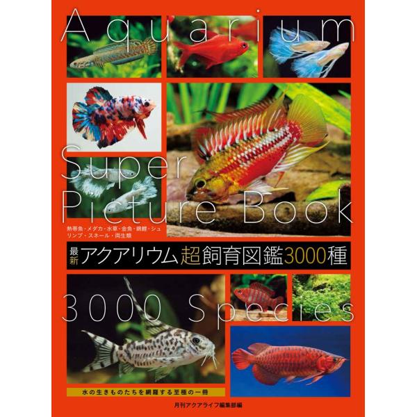 【発売日：2026年03月16日】ご注文後のキャンセル・返品は承れません。発売日:2026年03月16日/商品ID:7956553/ジャンル:DOMESTIC BOOKS/フォーマット:Book/構成数:1/レーベル:エムピージェー/アーテ...