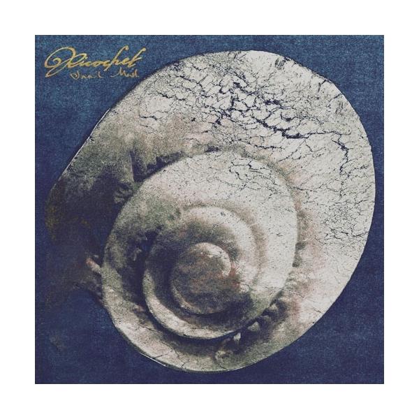 【発売日：2026年03月27日】ご注文後のキャンセル・返品は承れません。発売日:2026年03月27日/商品ID:7959105/ジャンル:ROCK/POP/フォーマット:LP/構成数:1/レーベル:Matador Records/アーテ...