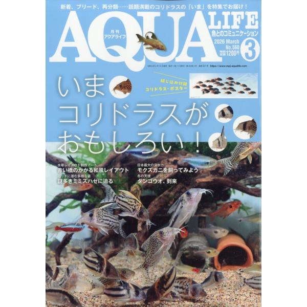 【発売日：2026年02月10日】ご注文後のキャンセル・返品は承れません。発売日:2026年02月10日/商品ID:7964244/ジャンル:DOMESTIC MAGAZINE/フォーマット:Magazine/構成数:1/レーベル:エムピー...